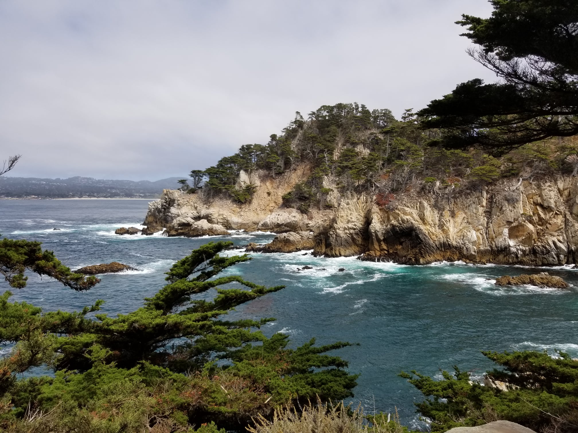 Point Lobos Foundation